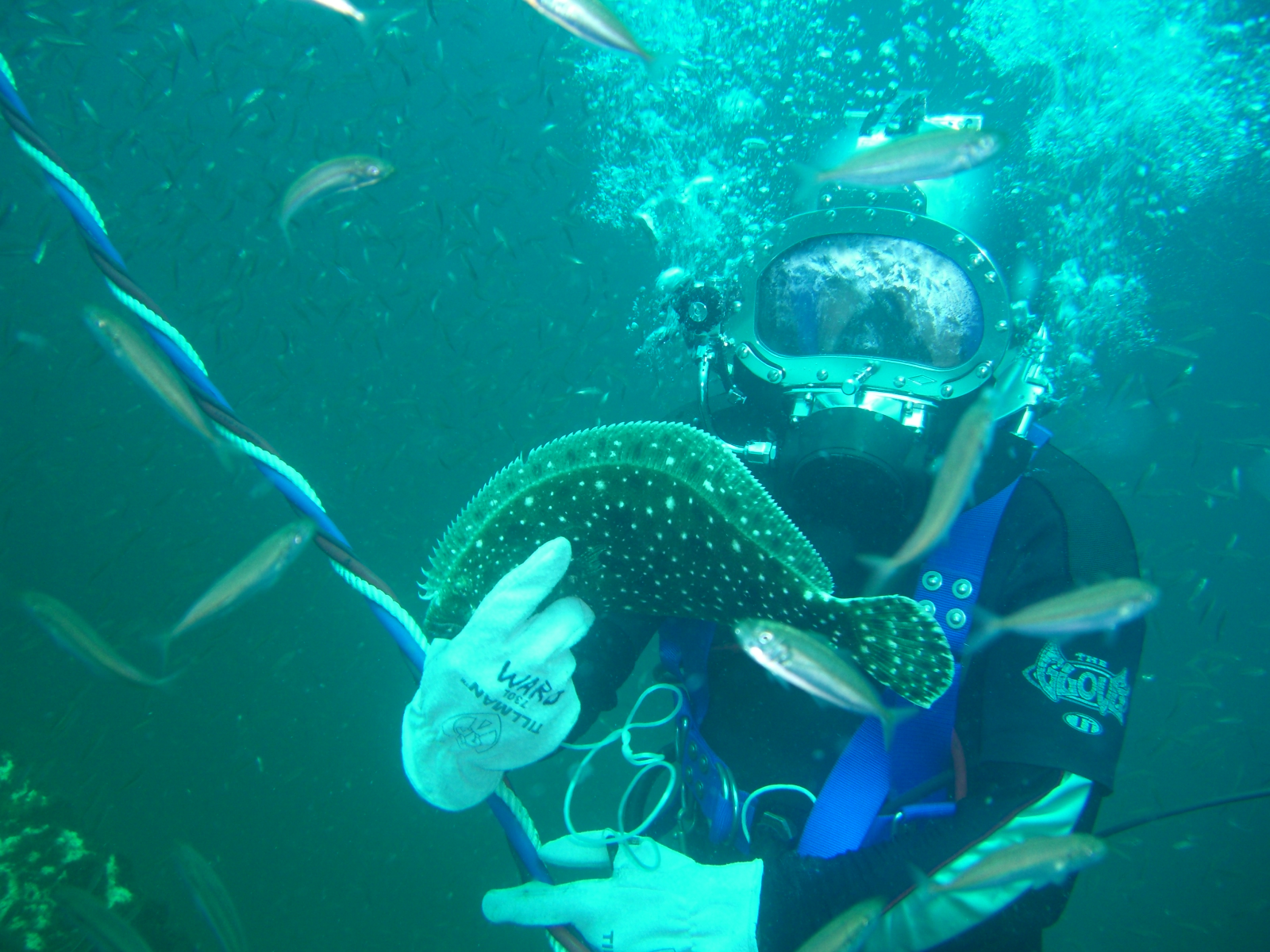 Dive Lab Photos – Dive Lab